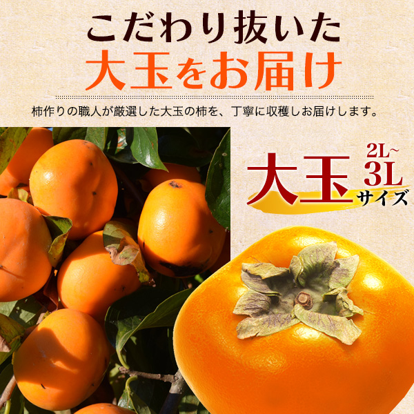 送料無料 和歌山県産刀根柿 最上等級 赤秀品 特大サイズ 約3kg(2L～3Lサイズ/10～12玉) 贈答用 | 食品,果物 | プラタ オンラインショップ