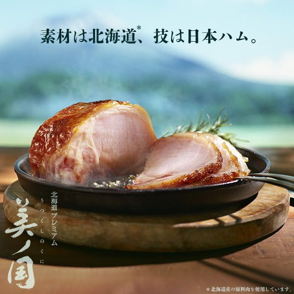 送料無料 2023年 お歳暮 冬ギフト 日本ハム 北海道産豚肉使用 美ノ国 UKH-38 | ギフトを探す,お歳暮 | プラタ オンラインショップ